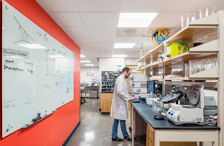 Biomaterials Design Group Lab - Lavallee Brensinger Architects